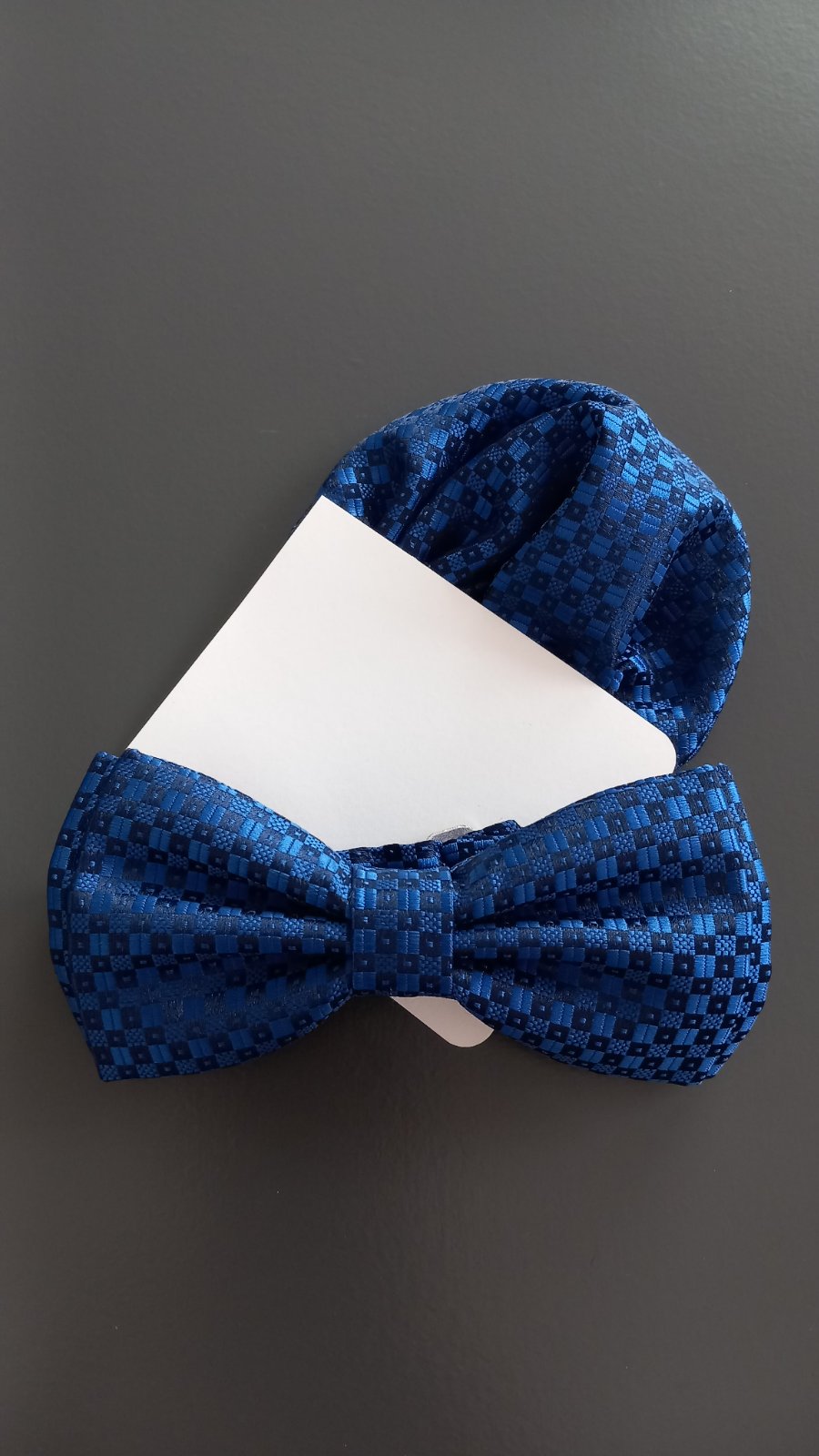 Папийонка с кърпичка (ППНК124) - ЛиКол